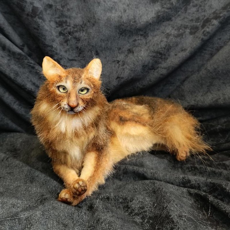 Realistic Stuffed Cat - Etsy