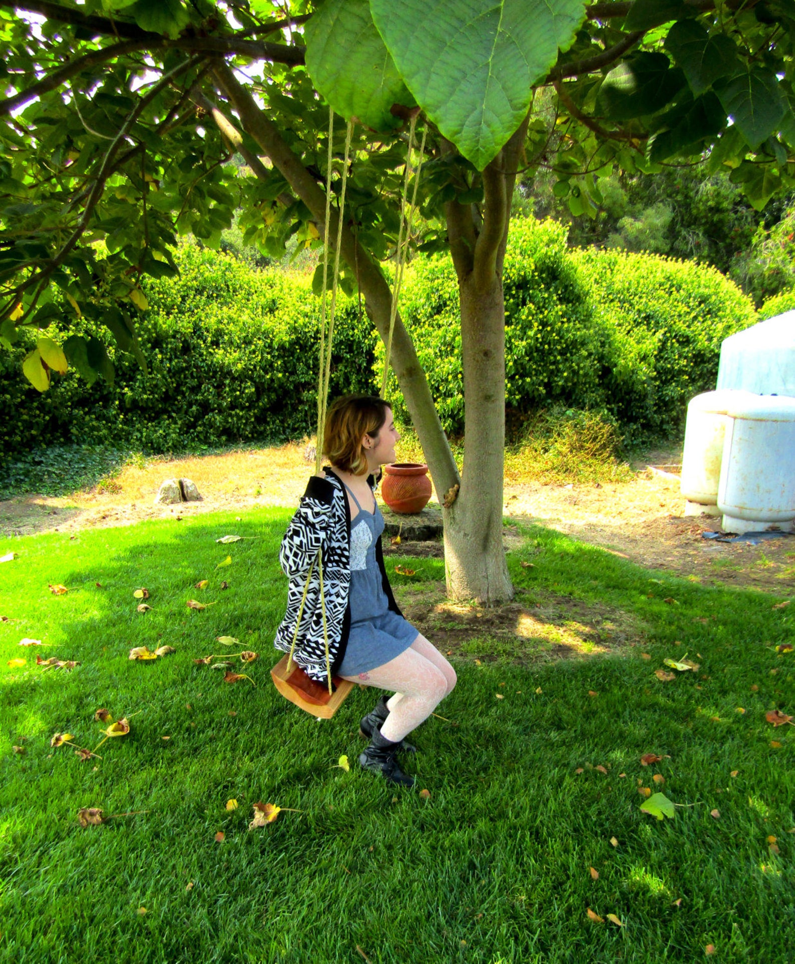 Rustic Coastal Redwood Swing Porch Patio Backyard Tree Swing | Etsy