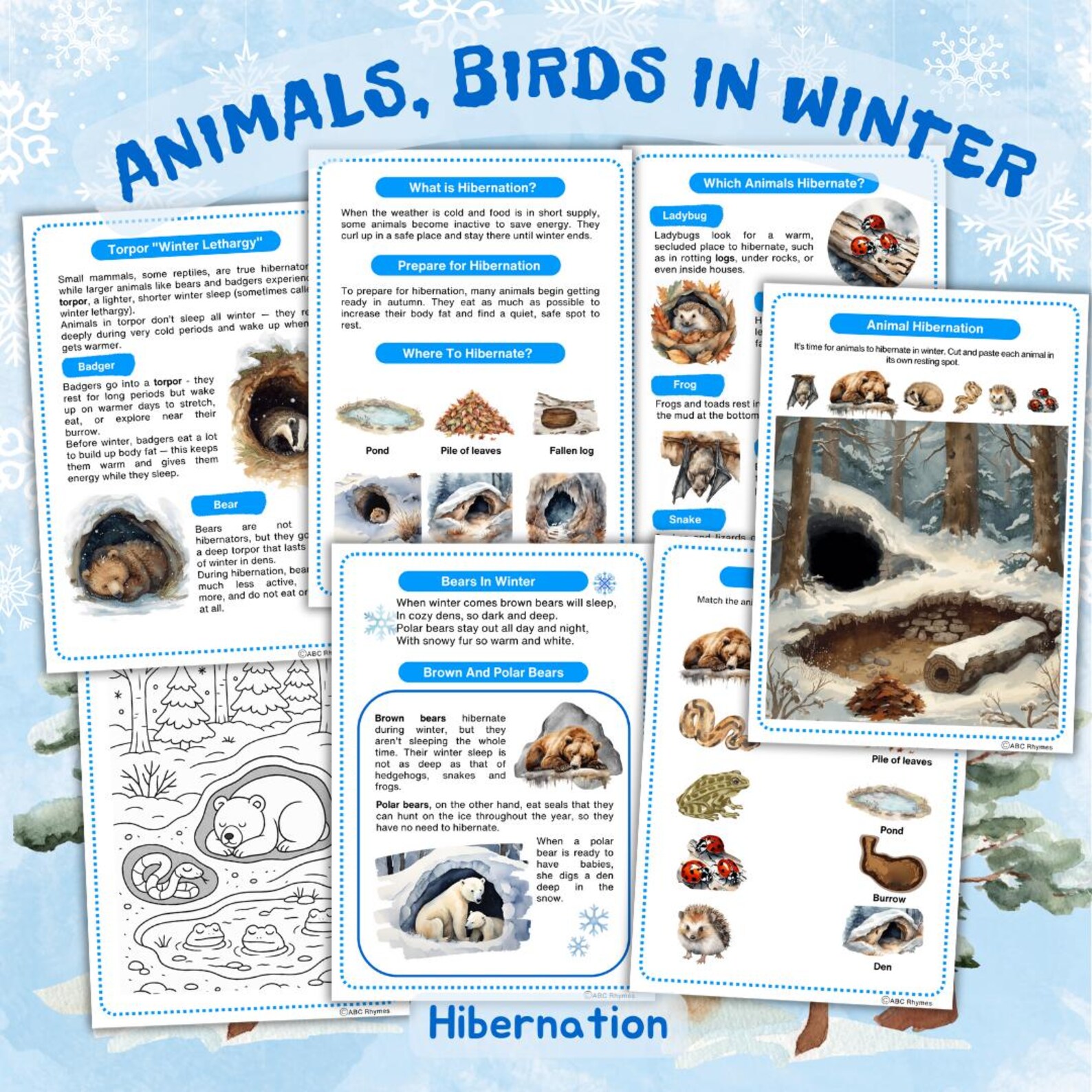 Animals and Birds in Winter: Hibernation, Migration, Adaptation ...