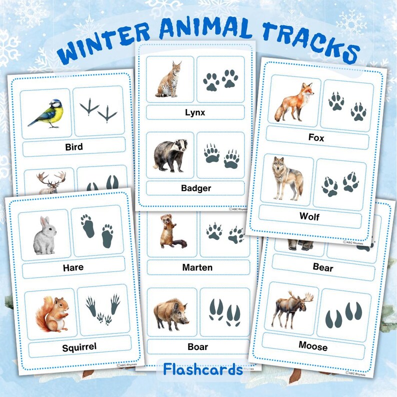Winter Animal Tracks Worksheet | Forest Footprint Tracing Activity Pack ...