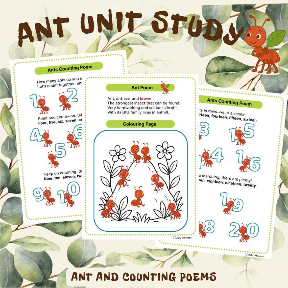 Ant Unit Study: Poem, Numbers Poem, Life Cycle, Anthill Structure ...