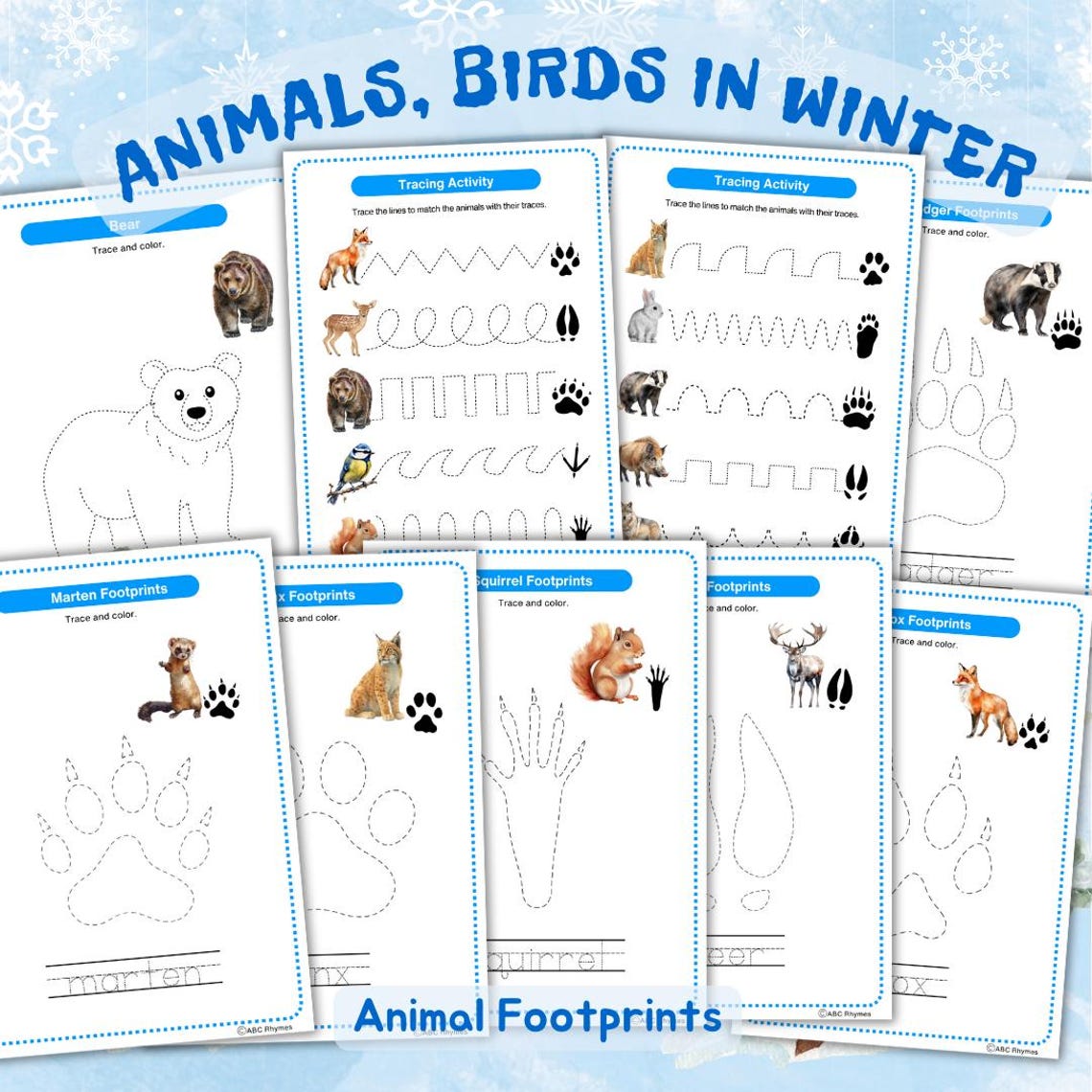 Animals and Birds in Winter: Hibernation, Migration, Adaptation ...