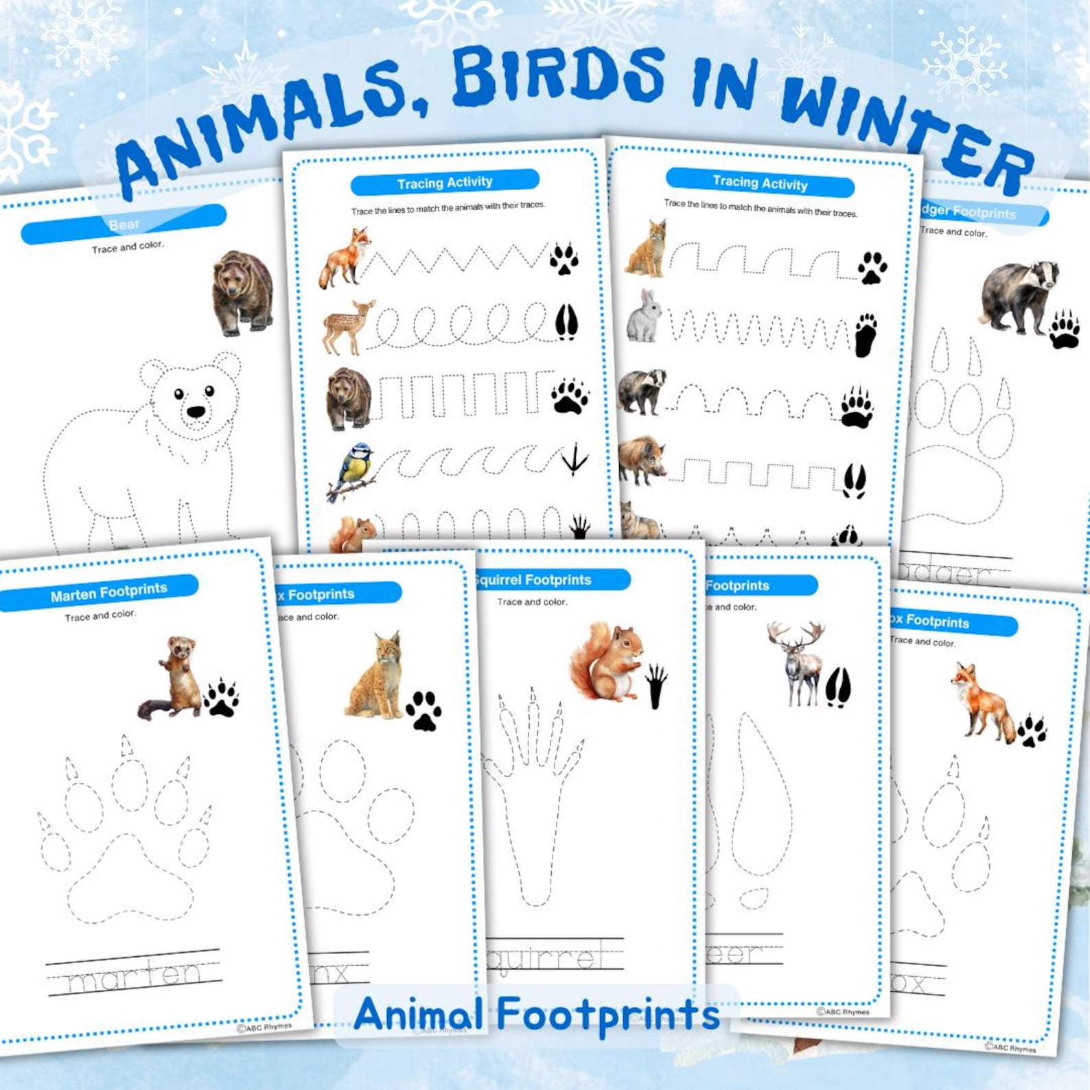 Animals and Birds in Winter: Hibernation, Migration, Adaptation ...