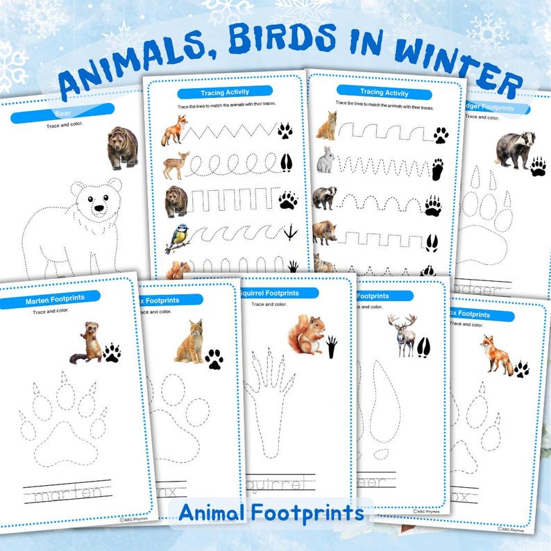 Animals and Birds in Winter: Hibernation, Migration, Adaptation ...