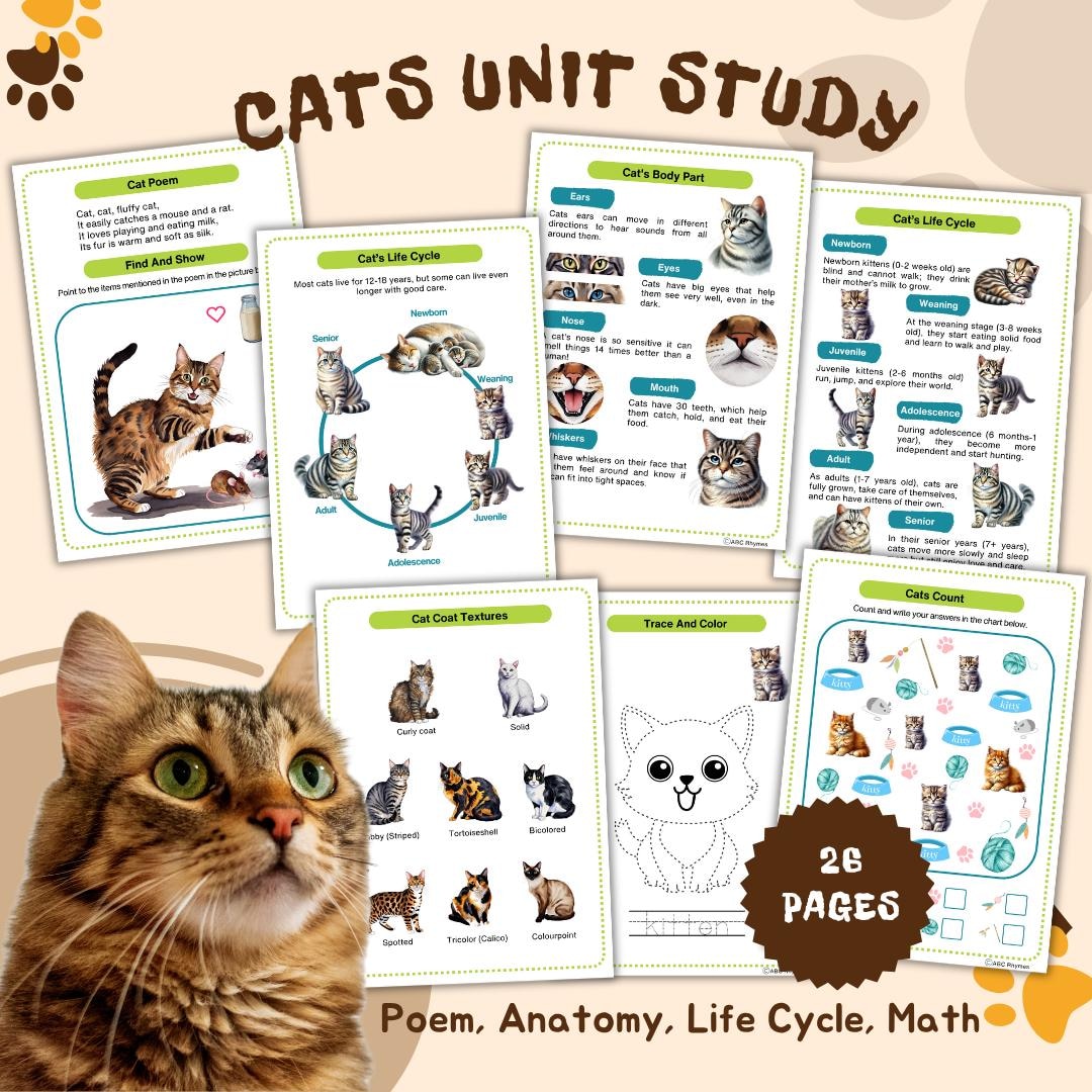 Cat Unit Study: Poem, Life Cycle, Anatomy, Math, Prepositions With ...
