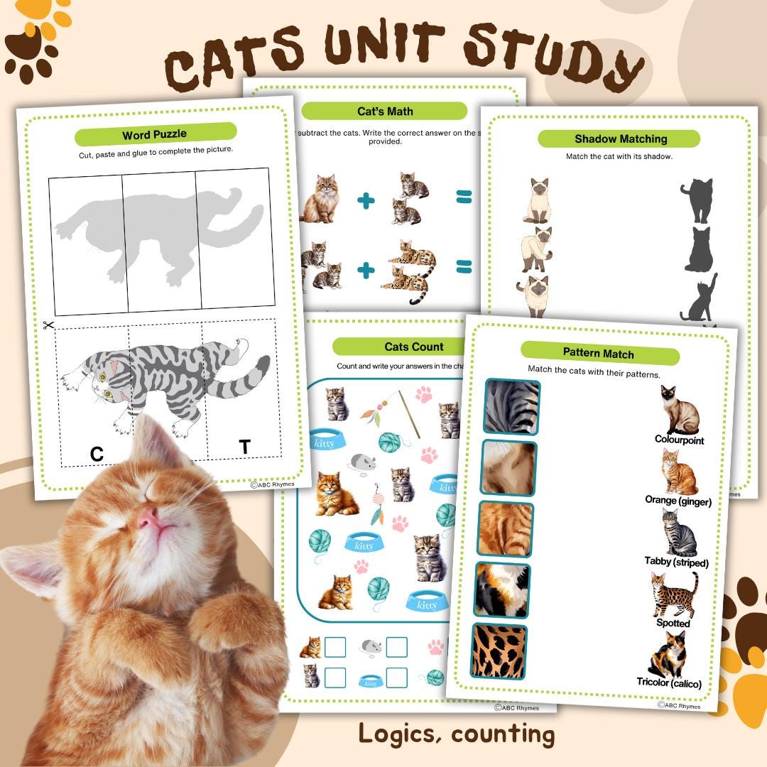 Cat Unit Study: Poem, Life Cycle, Anatomy, Math, Prepositions With ...