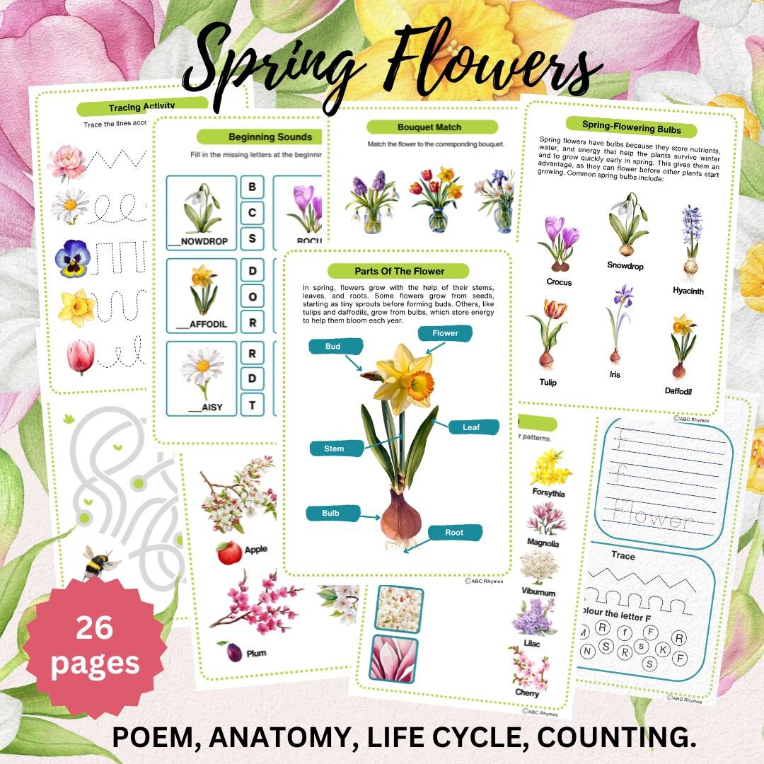 Spring Flowers Unit Study: Poem, Bulb Life Cycle, Daffodil Anatomy ...