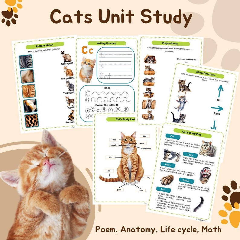 Cat Poem, Cat Life Cycle, Cat Body Part, Math, Counting, Prepositions ...