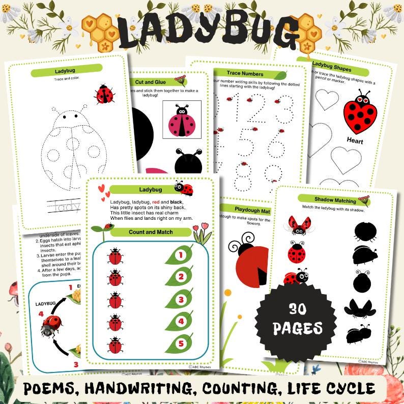 Insects Unit Study: Ant, Bee, Ladybug, Spider, Butterfly| Poems, Life ...