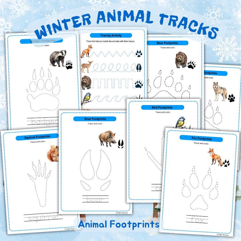Winter Animal Tracks Worksheet | Forest Footprint Tracing Activity Pack ...