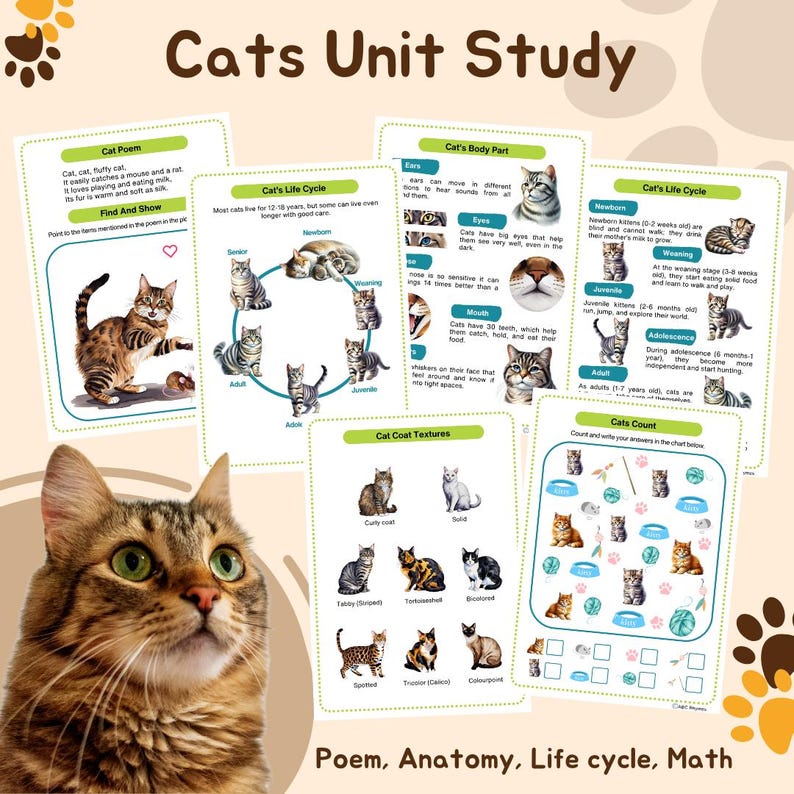 Cat Poem, Cat Life Cycle, Cat Body Part, Math, Counting, Prepositions ...