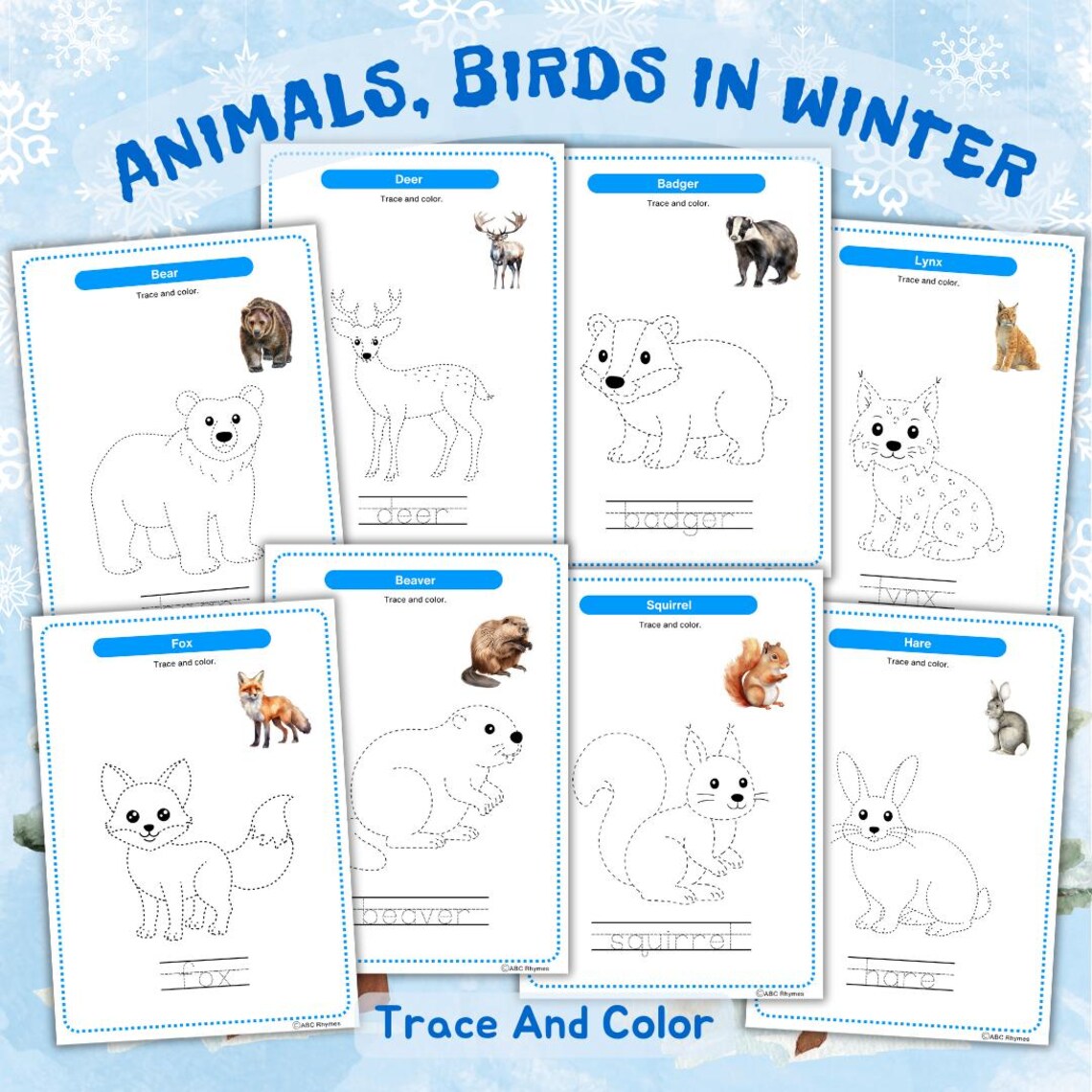 Animals and Birds in Winter: Hibernation, Migration, Adaptation ...