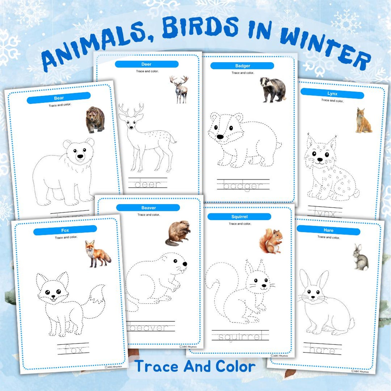 Animals and Birds in Winter: Hibernation, Migration, Adaptation ...