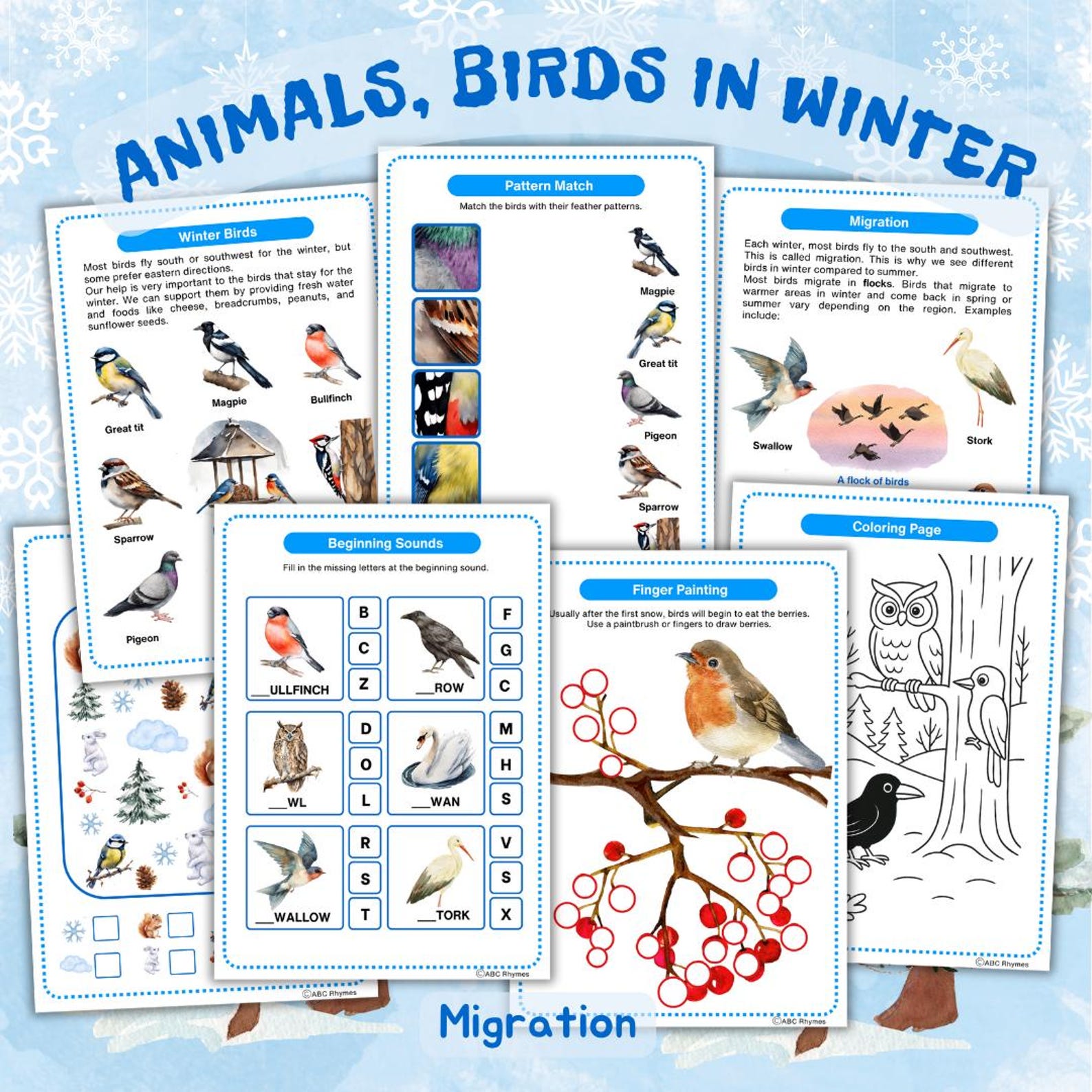 Animals and Birds in Winter: Hibernation, Migration, Adaptation ...