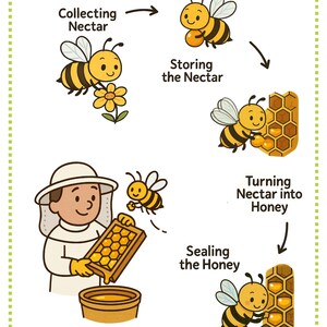 Bee Unit Study: Honey Bees Poem, Beehive Poem, Bee Life Cycle, Make ...