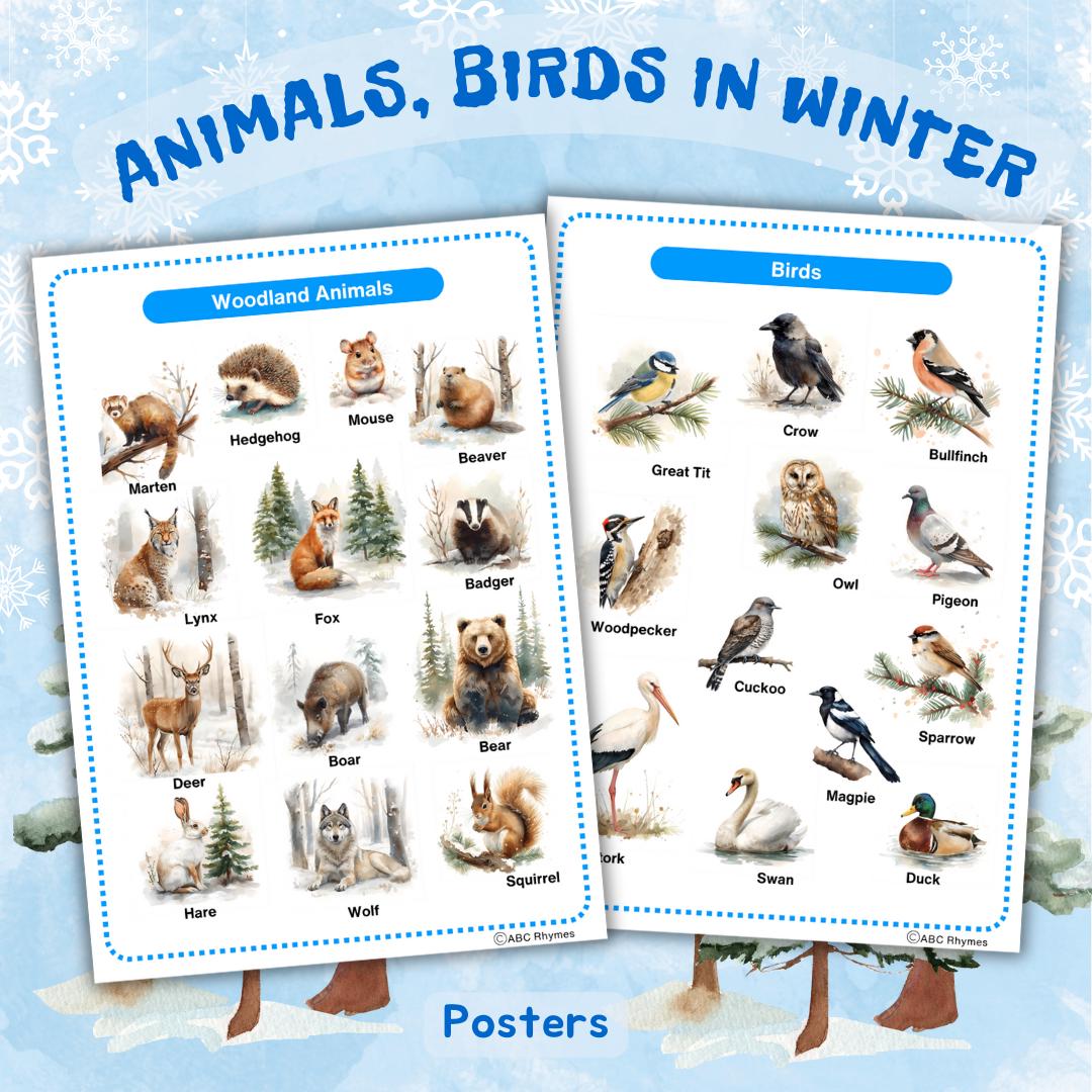 Animals and Birds in Winter: Hibernation, Migration, Adaptation ...