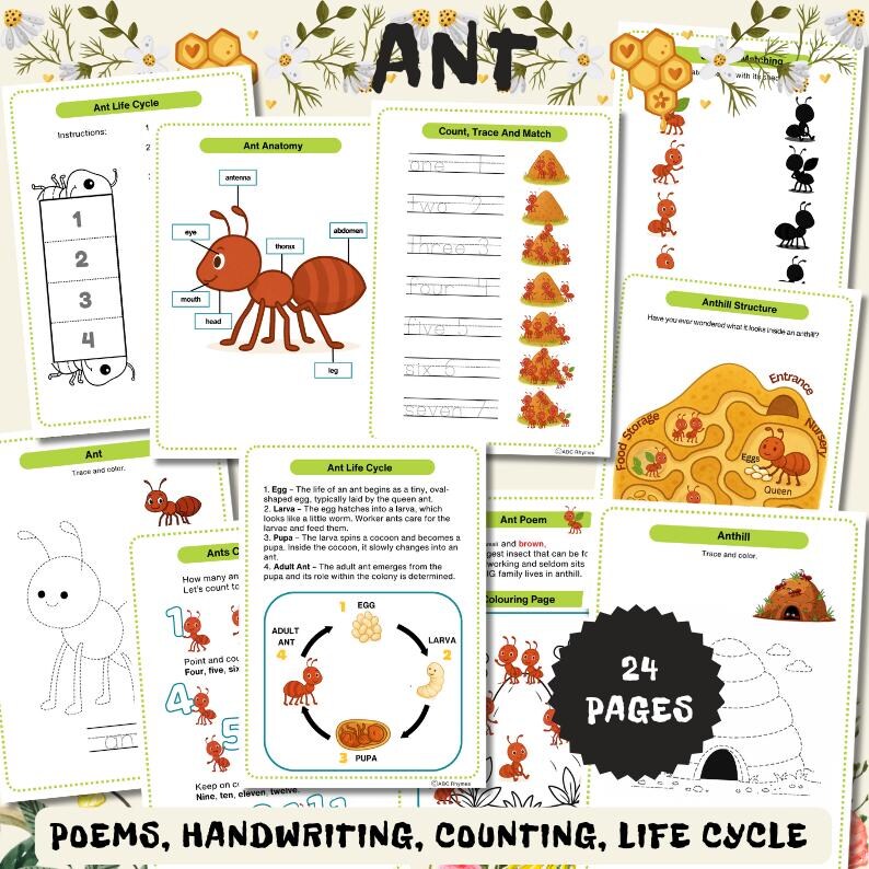 Insects Unit Study: Ant, Bee, Ladybug, Spider, Butterfly| Poems, Life ...