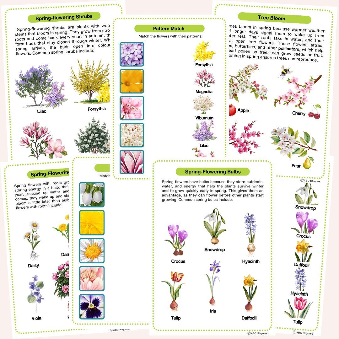 Spring Flowers Unit Study: Poem, Bulb Life Cycle, Daffodil Anatomy ...