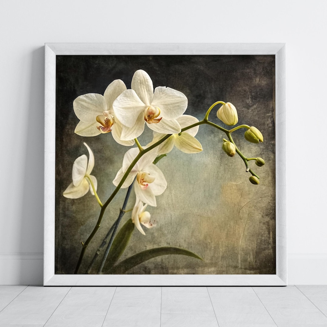 Orchid Poster I Digital, Orchid With White Blossom, Botanical Flower ...