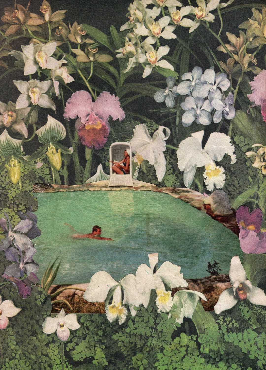 Orchid Pool - Etsy