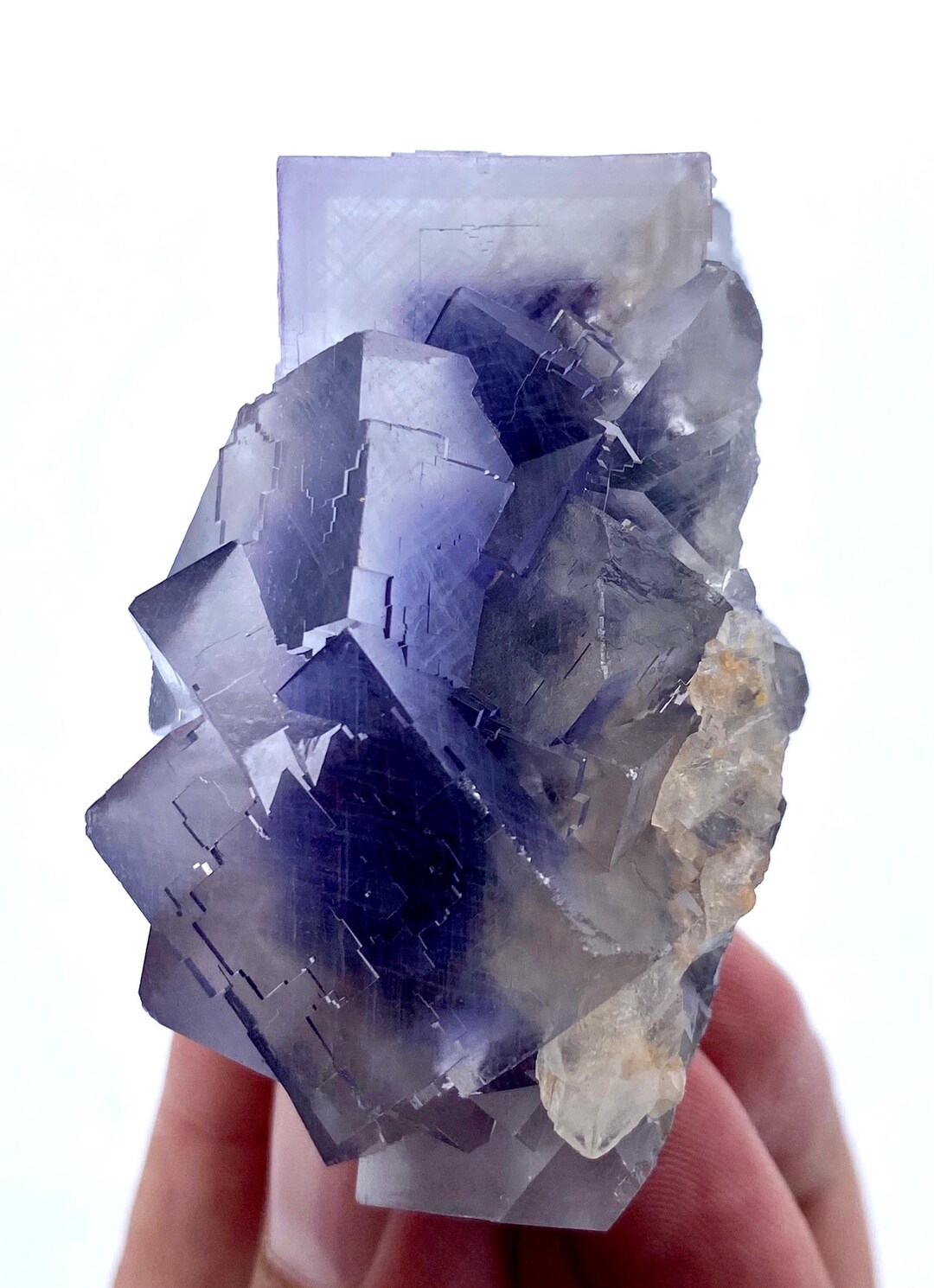 Phantom Fluorite & Calcite Crystal Specimen: Natural Cubic Mineral ...