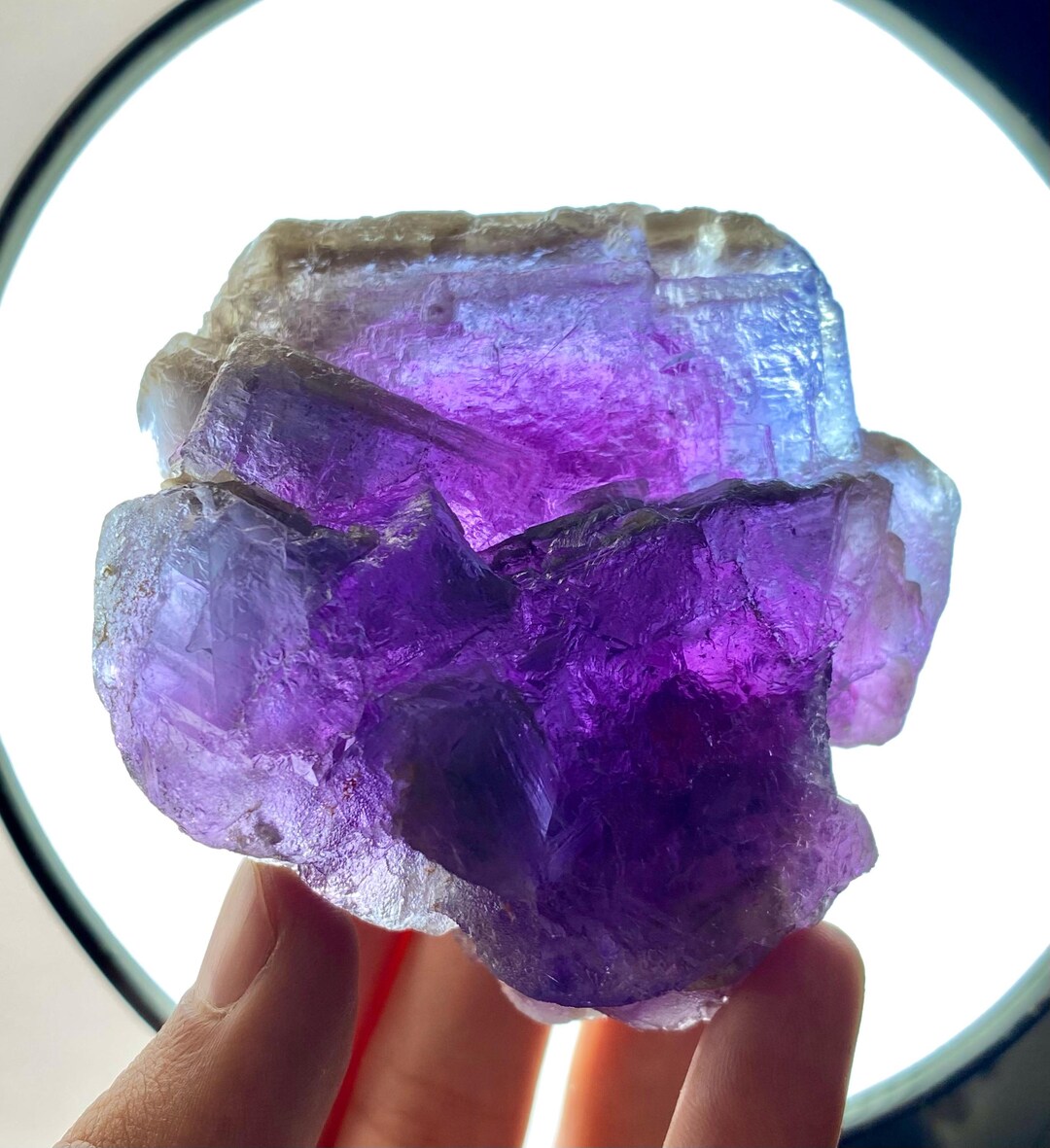 486 Gram Ethereal Glow: A Luminous Dance of Violet Light Within ...