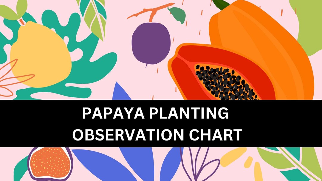 Papaya Planting Observation Chart Printable - Etsy