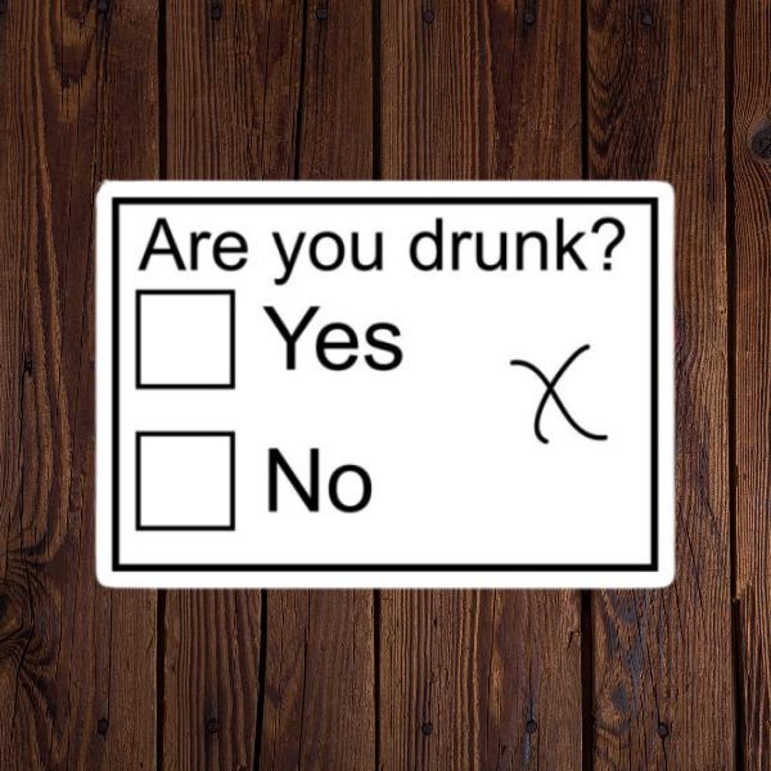 Are You Drunk? Vinyl Sticker,meme Sticker, Funny Sticker,sticker for ...