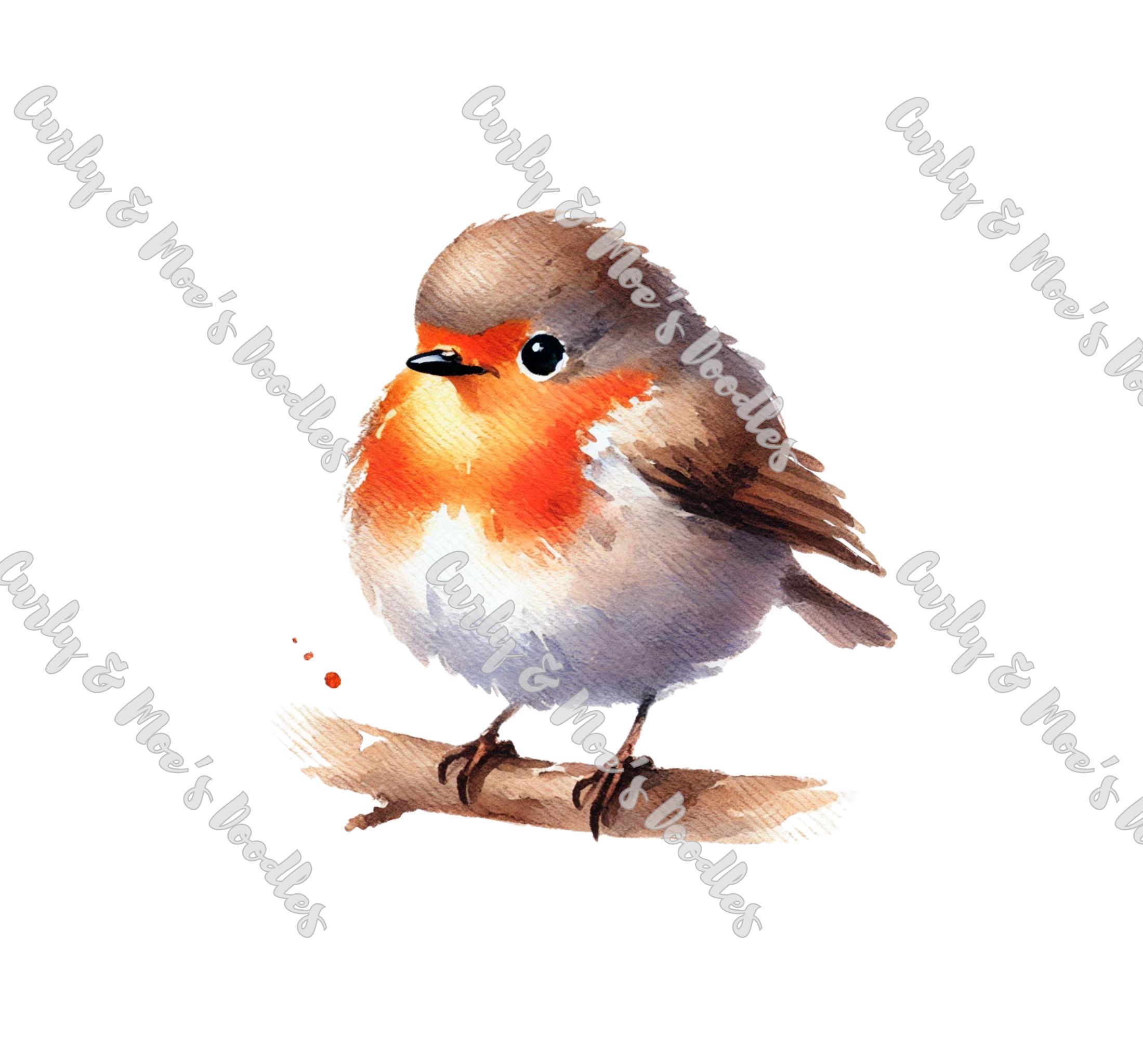 Watercolor Bird Clip Art Bundle | Cute PNG Illustrations (digital ...