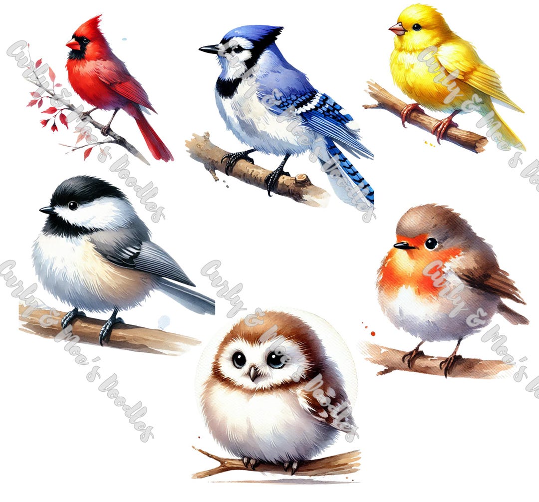 Watercolor Bird Clip Art Bundle | Cute PNG Illustrations (digital ...