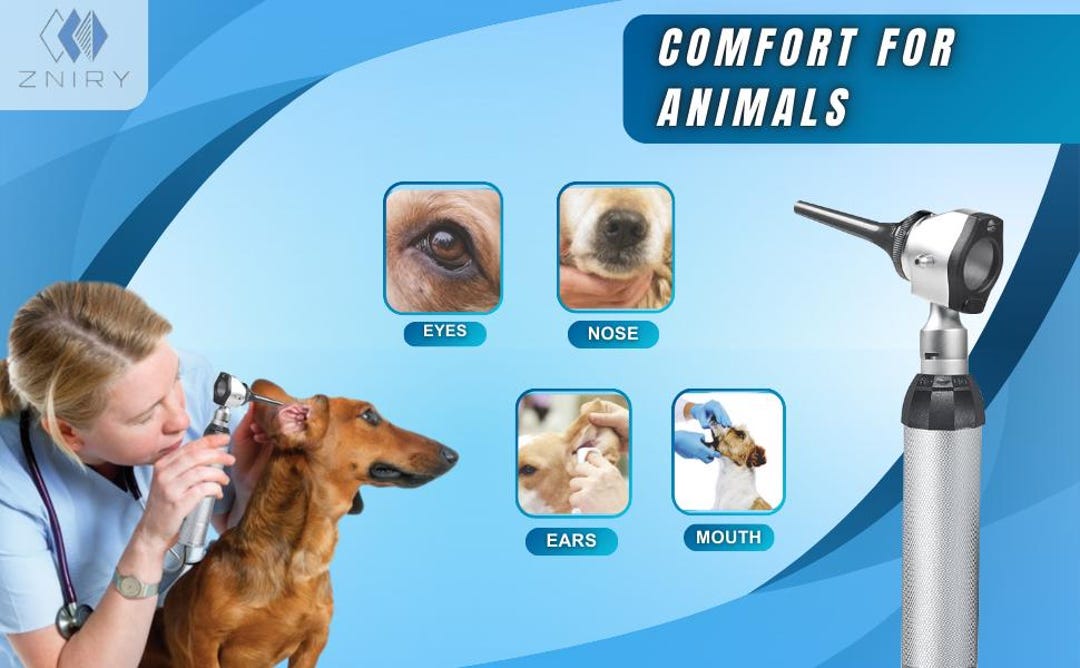 Veterinary Otoscope Ophthalmoscope Set, ENT, Vet, Ear, Eye, Diagnostic ...