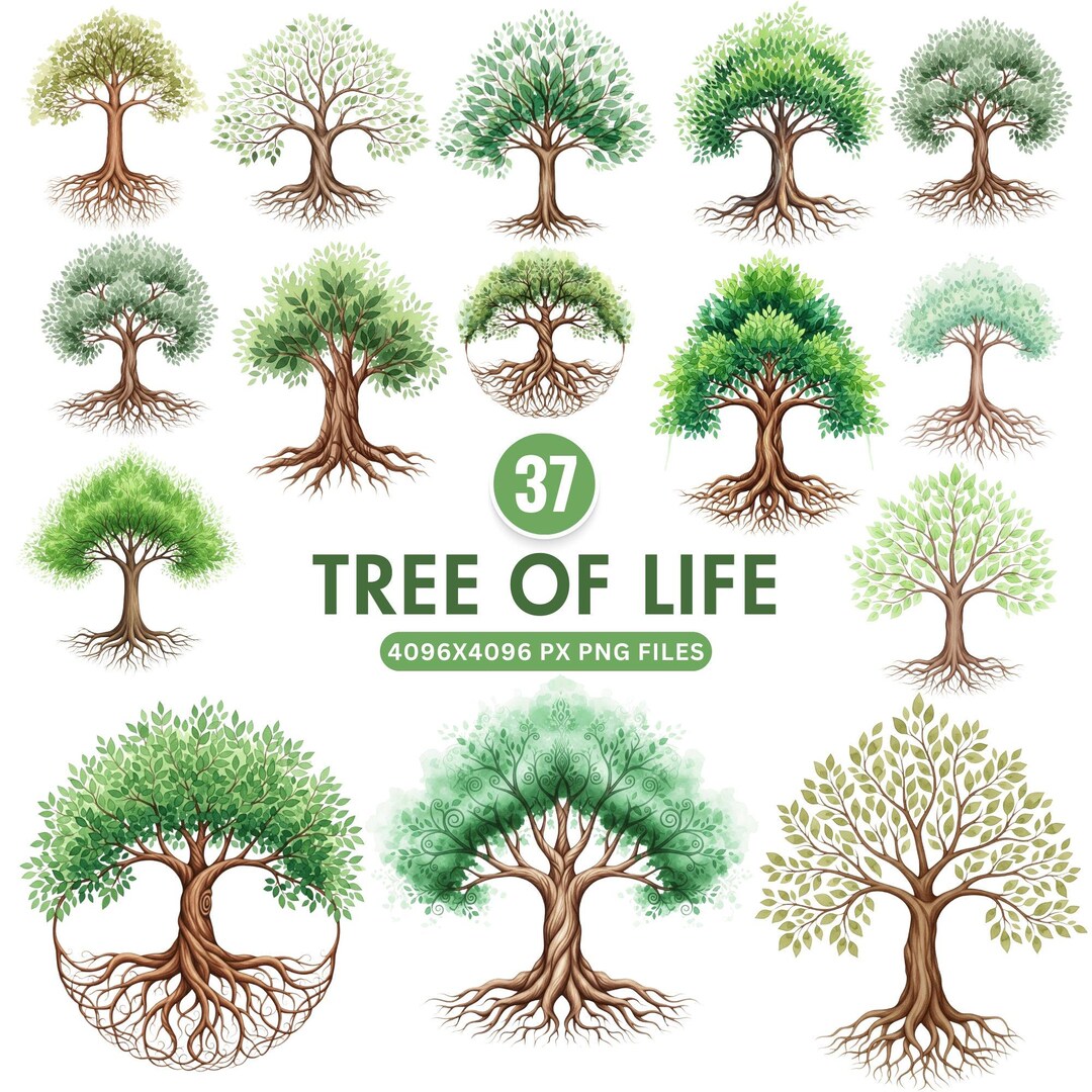 Tree of Life With Roots Clipart, Watercolor Tree Bundle, Celtic Knot ...