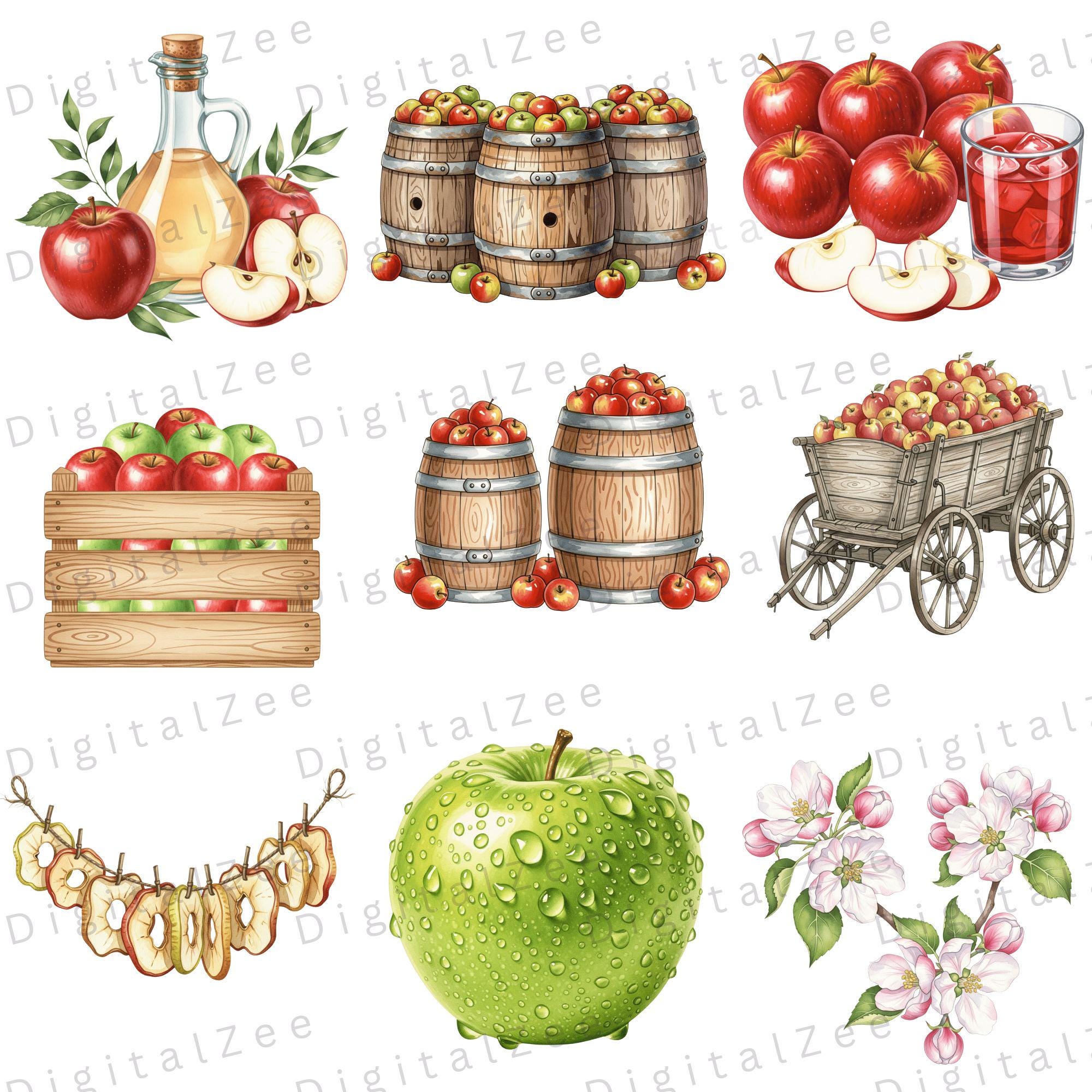 Watercolor Apple Clipart, Red and Green Apple PNG, Apple Tree Clipart ...