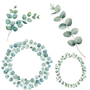 Watercolor Eucalyptus Clipart Bundle Greenery PNG Eucalyptus Leaves ...