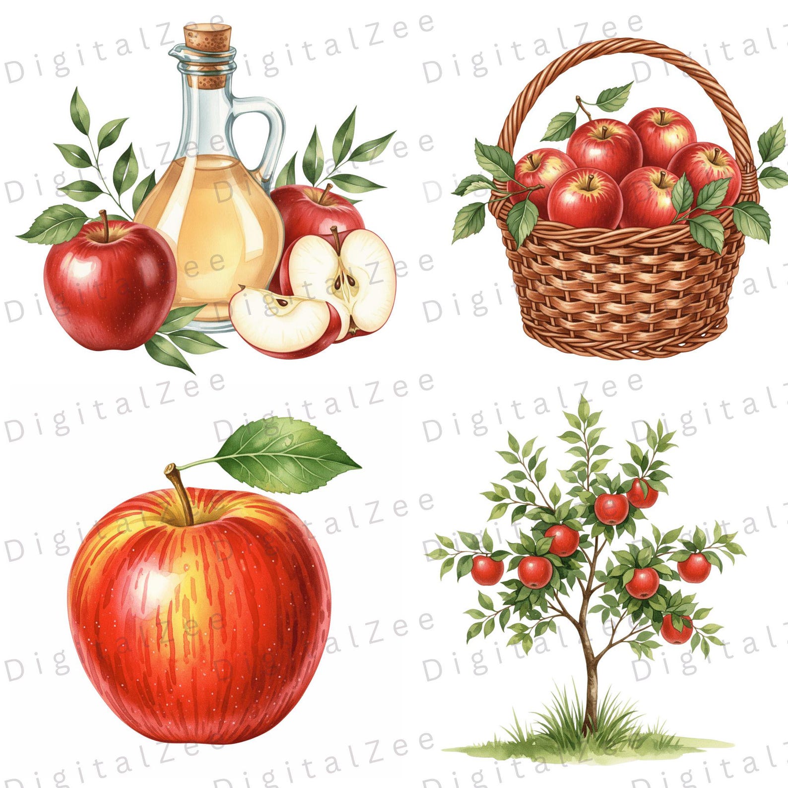 Watercolor Apple Clipart, Red and Green Apple PNG, Apple Tree Clipart ...