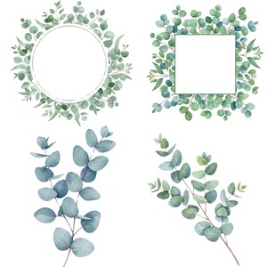 Watercolor Eucalyptus Clipart Bundle Greenery PNG Eucalyptus Leaves ...