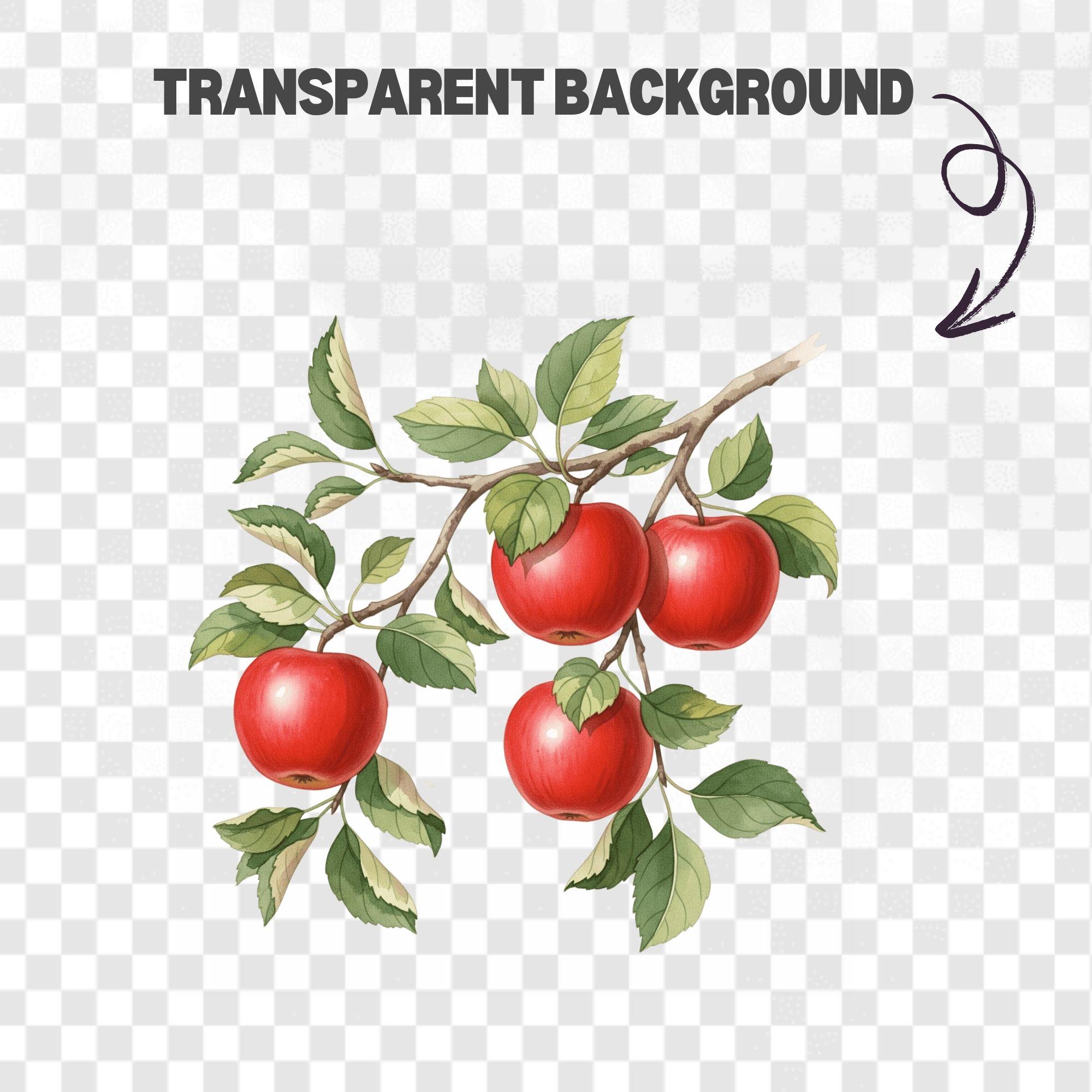Watercolor Apple Clipart, Red and Green Apple PNG, Apple Tree Clipart ...
