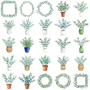Watercolor Eucalyptus Clipart Bundle Greenery PNG Eucalyptus Leaves ...