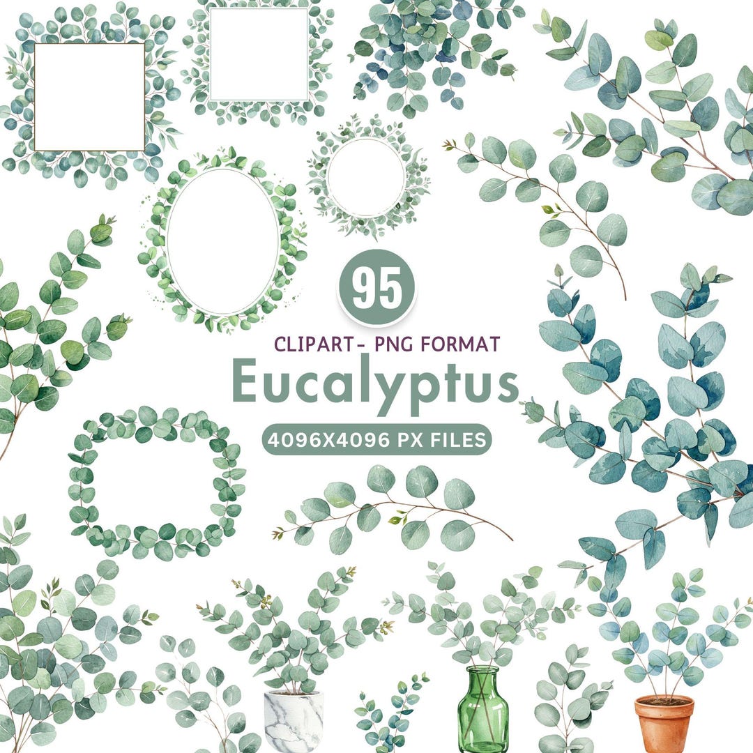 Watercolor Eucalyptus Clipart Bundle Greenery PNG Eucalyptus Leaves ...