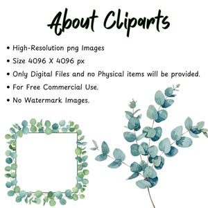Watercolor Eucalyptus Clipart Bundle Greenery PNG Eucalyptus Leaves ...