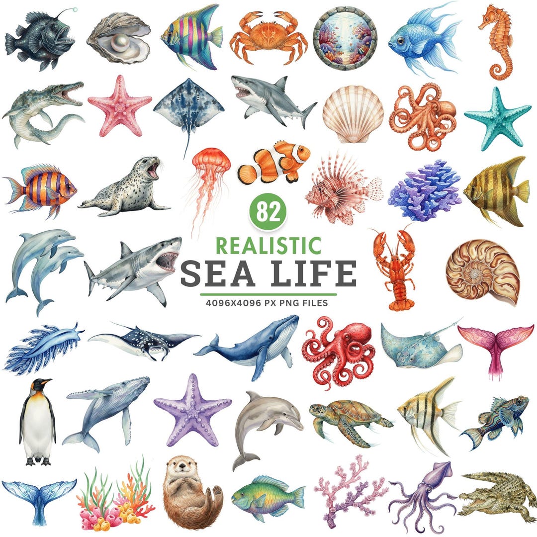 Watercolor Sea Animals Clipart, Realistic Ocean Life PNG, Under the Sea ...
