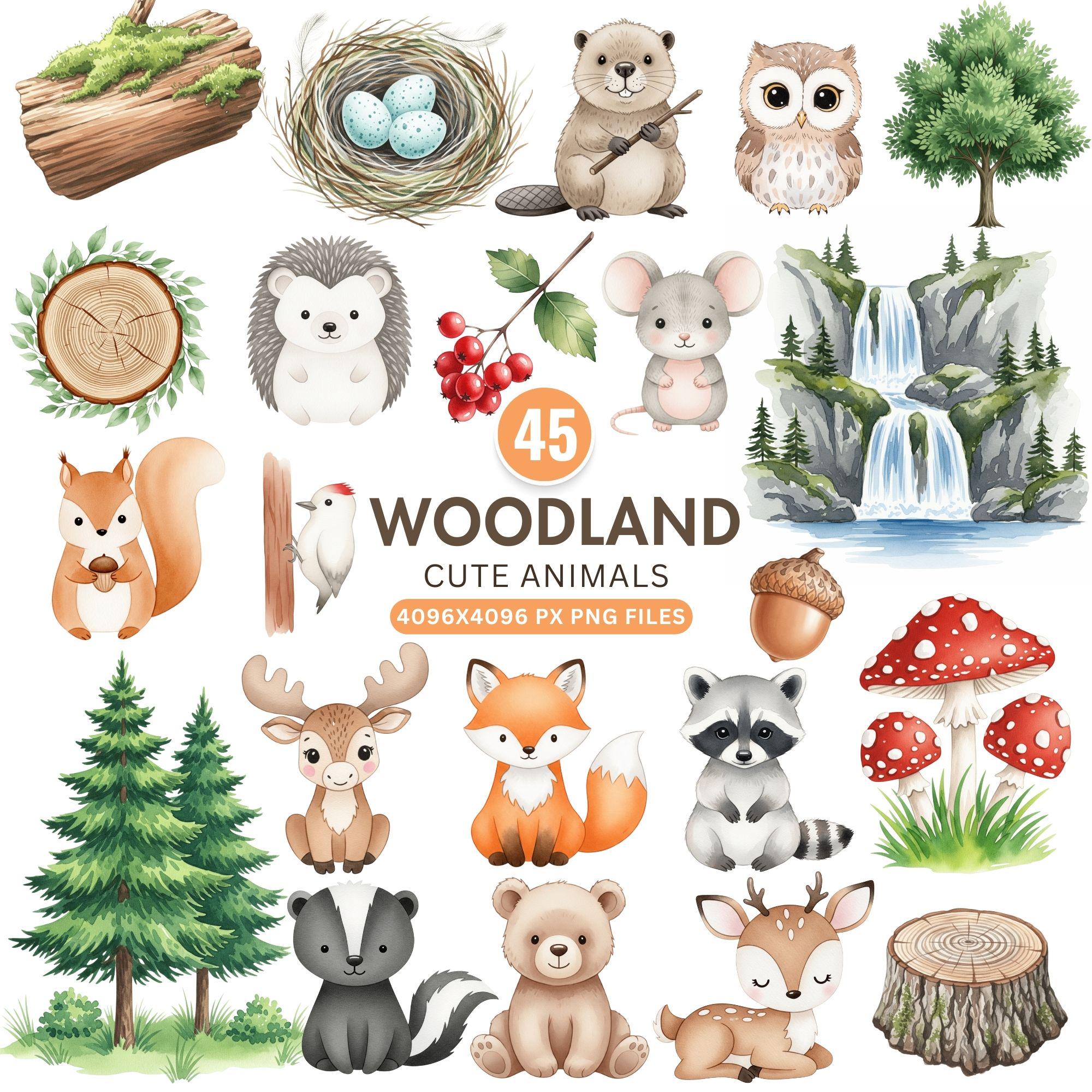 Cute Woodland Animal Clipart, Baby Animals Clipart, Watercolor Forest ...