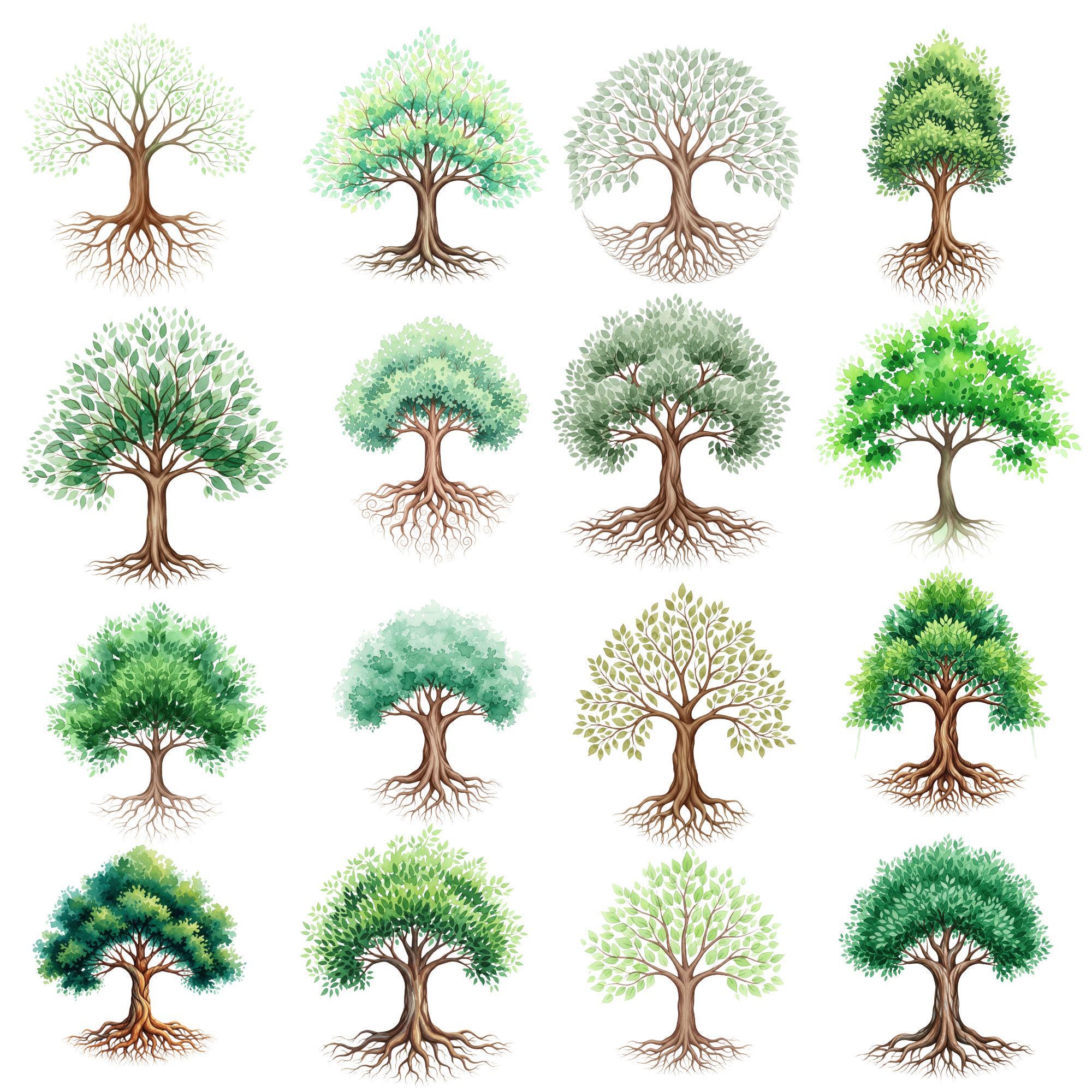 Tree of Life With Roots Clipart, Watercolor Tree Bundle, Celtic Knot ...