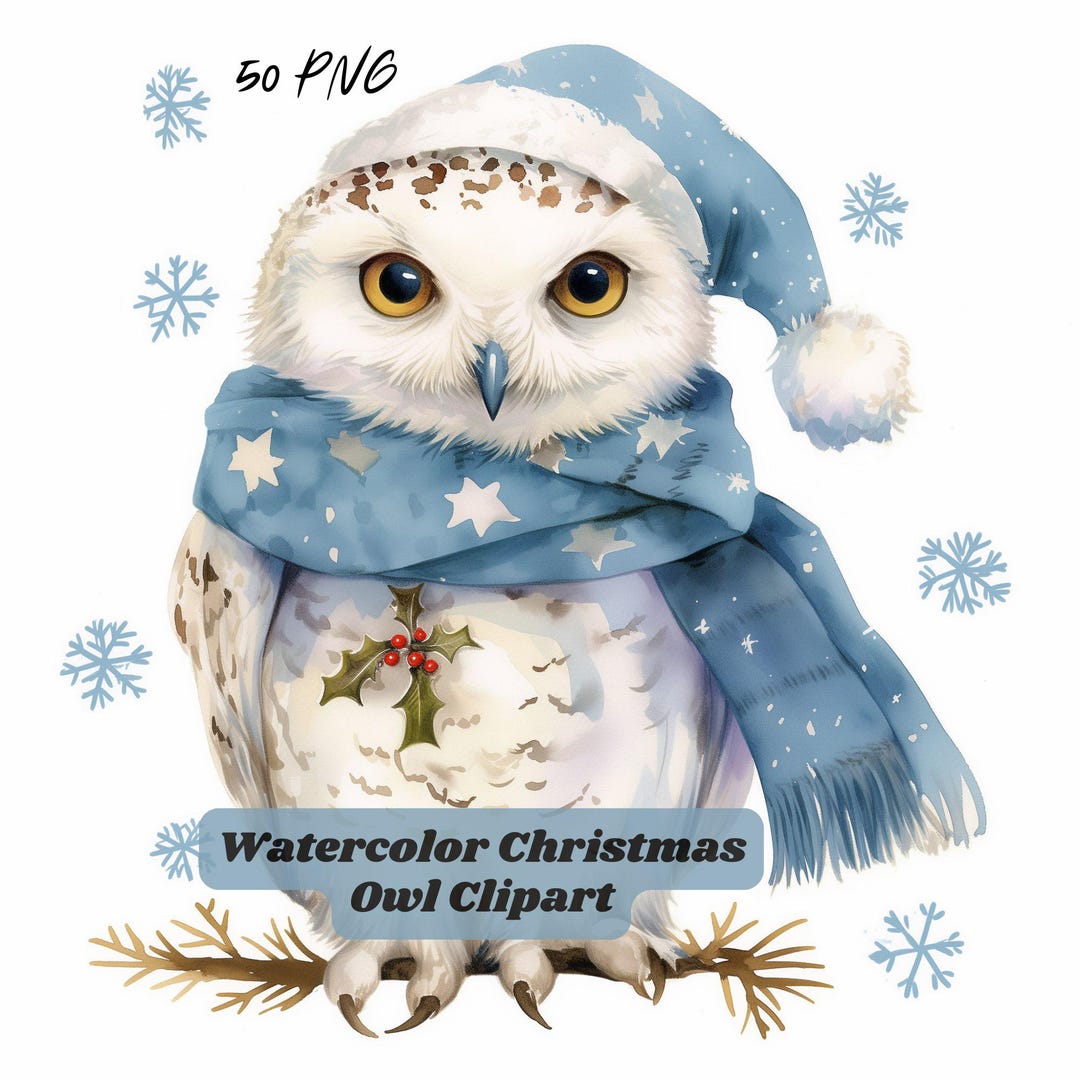 50 Watercolor Christmas Owl Clipart PNG - Santa Hat Graphics ...