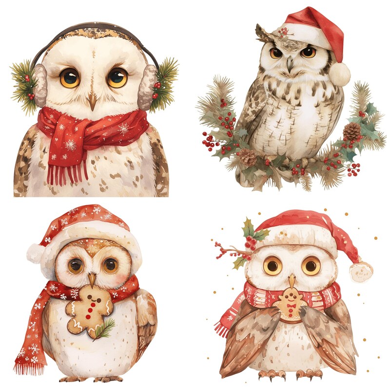 50 Watercolor Christmas Owl Clipart PNG - Santa Hat Graphics ...