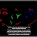 3 Colors Face Rhinestone Design for Shirt Rhinestones Template Sketch ...