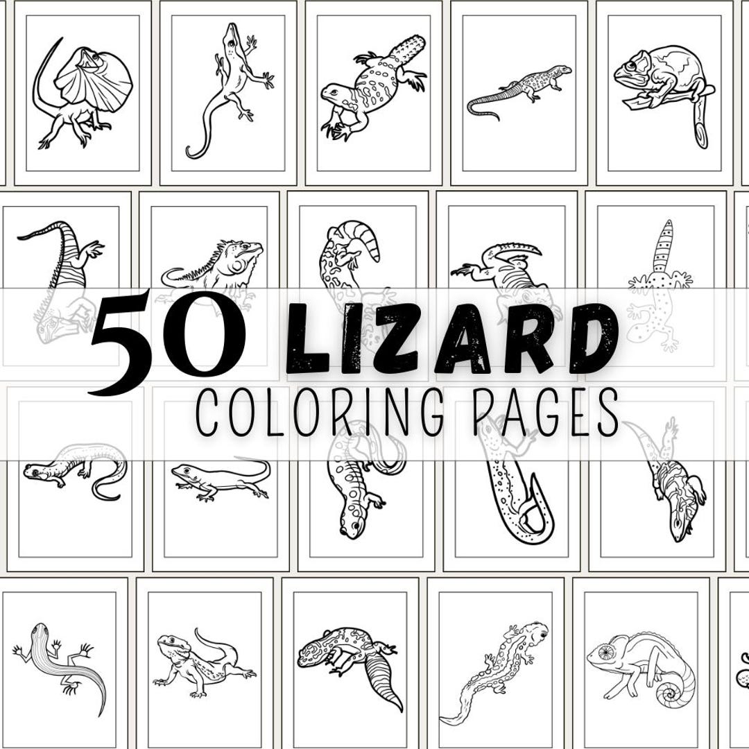 Lizard Coloring Pages Printable for Adults, Reptile Coloring Pages ...