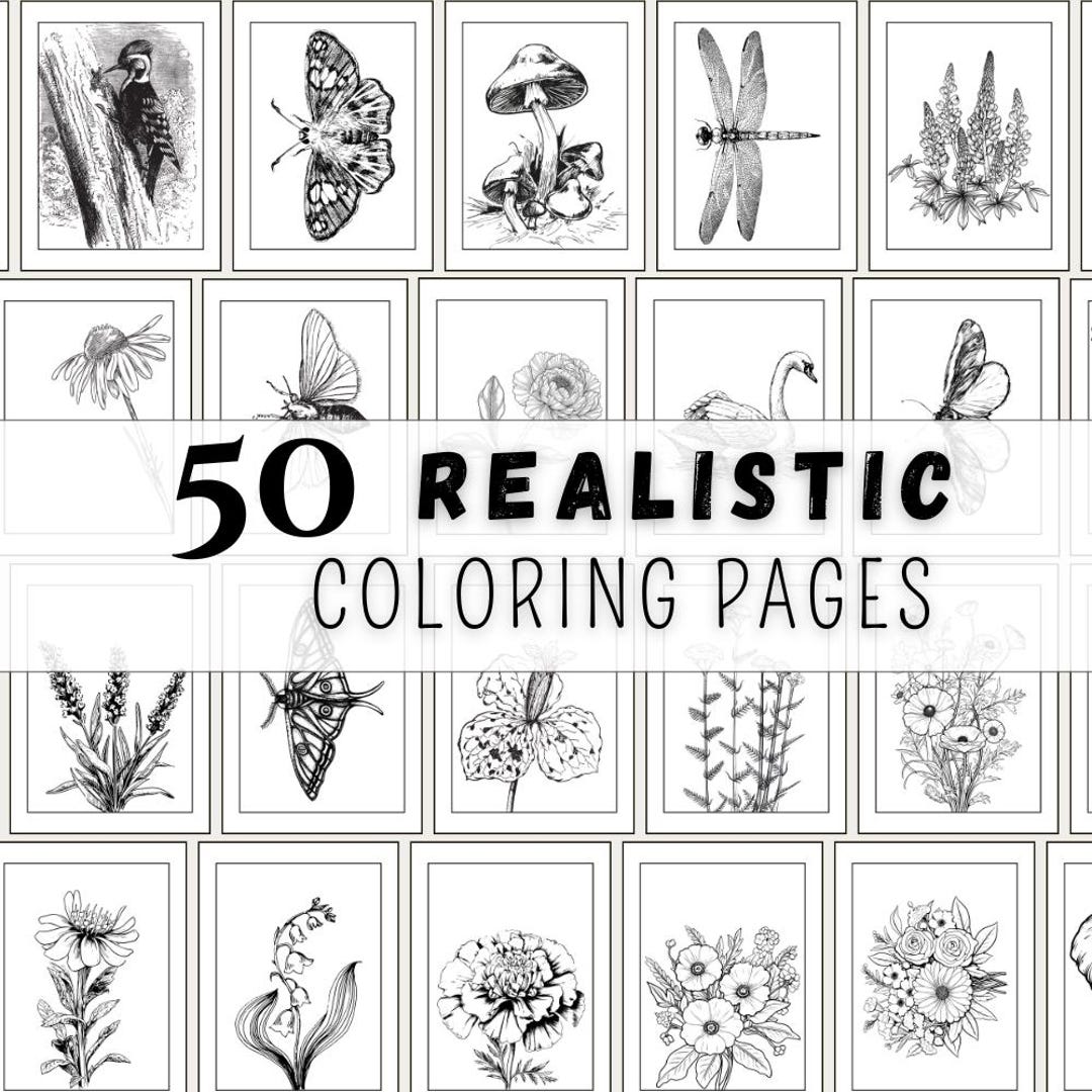 Realistic Coloring Pages, Printable Sheets PDF, Insects, Nature Study ...