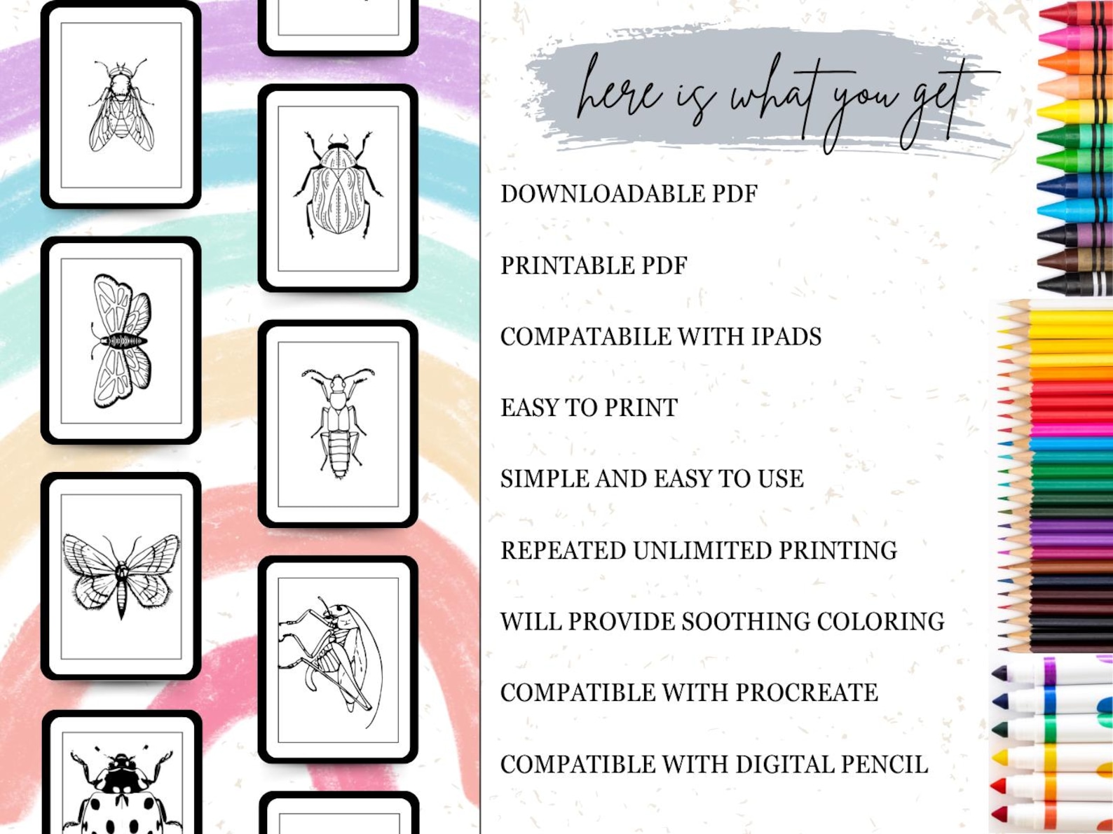 Beetles Coloring Pages, Printable Sheets PDF, Insects, Nature Study ...