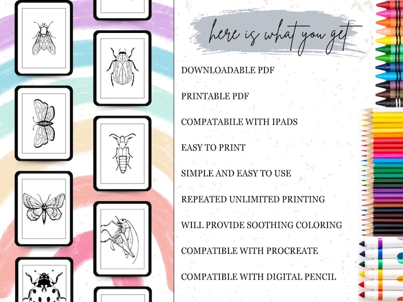 Beetles Coloring Pages, Printable Sheets PDF, Insects, Nature Study ...